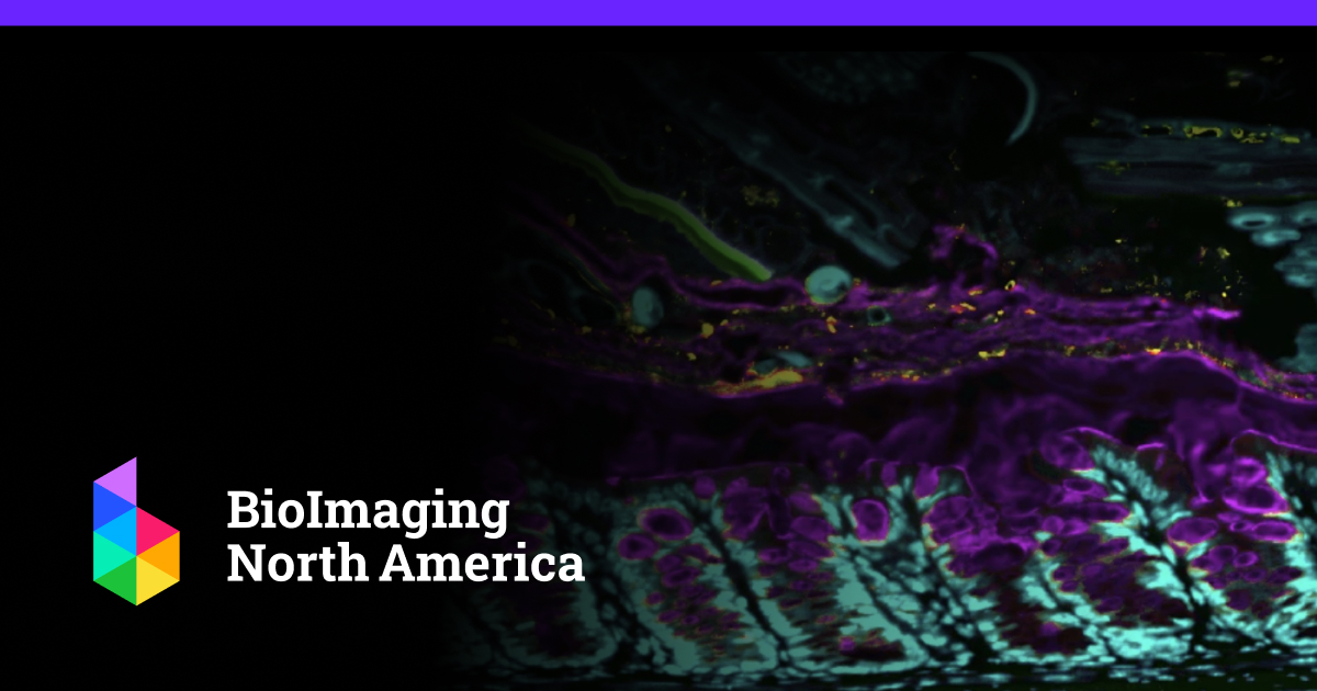 BINA @ ASCB 2024 - BioImaging North America Site