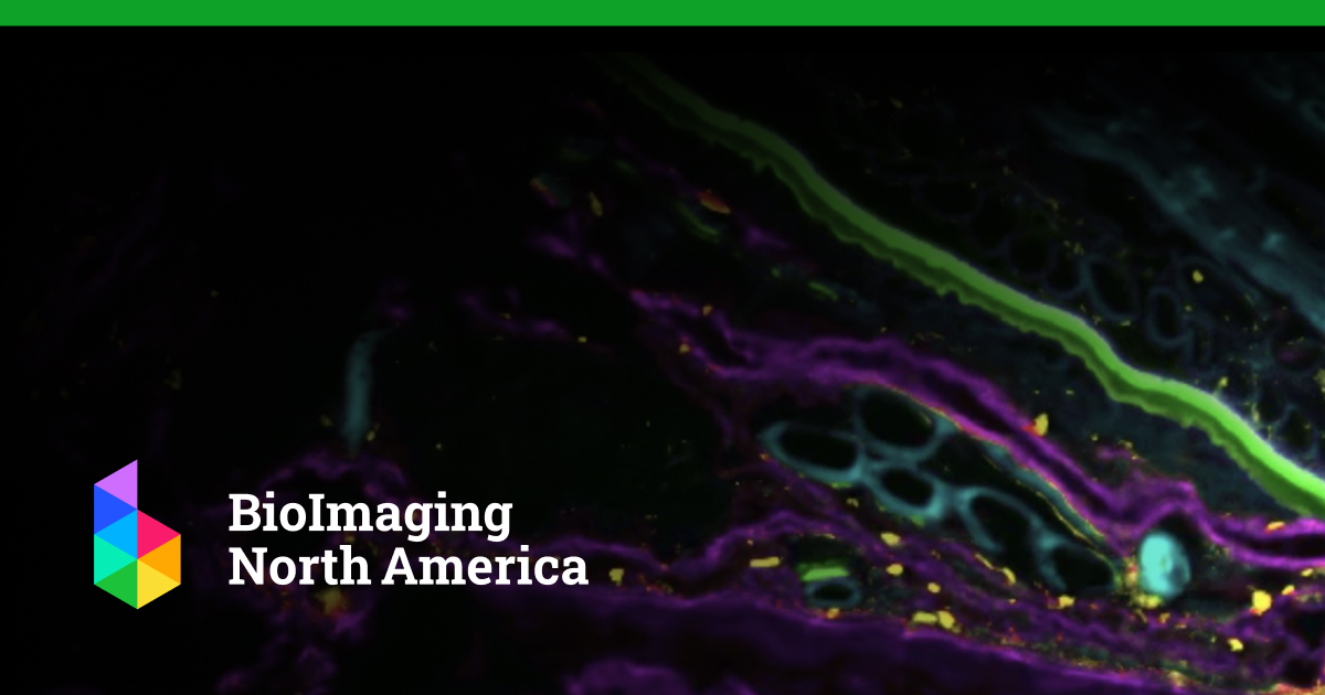Jobs - BioImaging North America Site