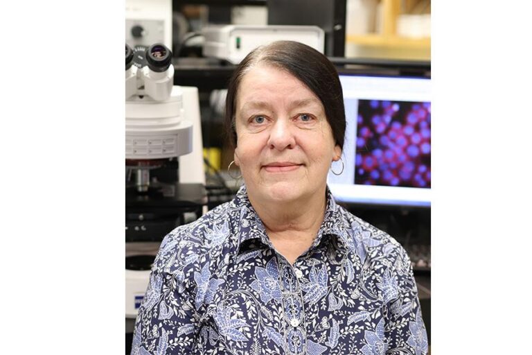 I2KxBINA2026 - BioImaging North America Site
